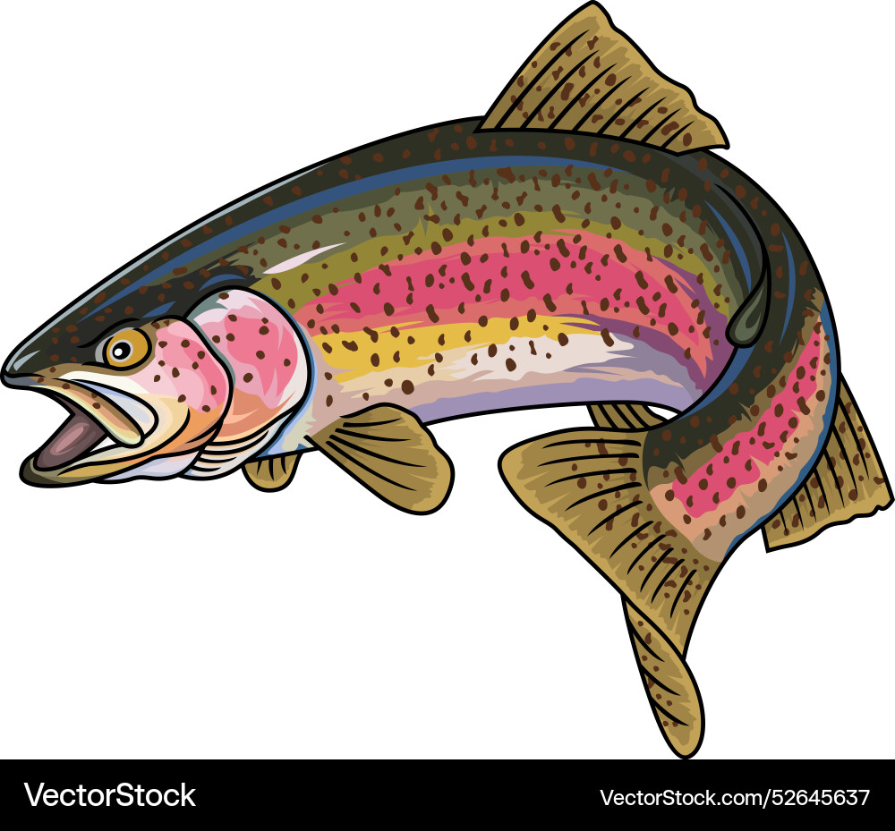 Rainbow trout fishing logo Royalty Free Vector Image