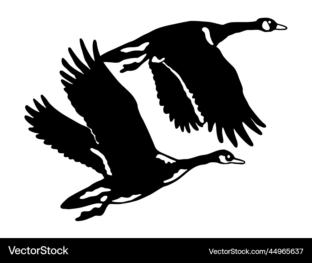 Silhouette of flying wild geese Royalty Free Vector Image