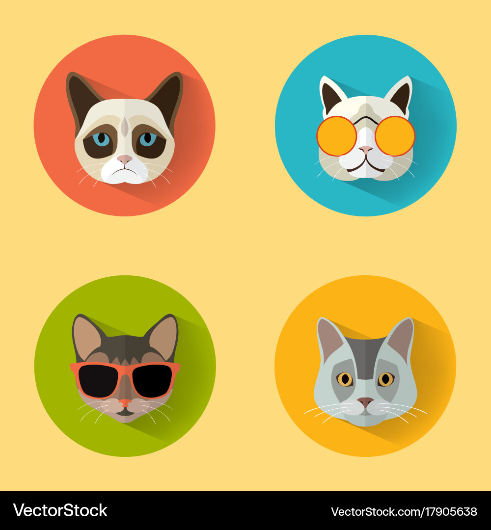 Cat portraits with flat design Royalty Free Vector Image