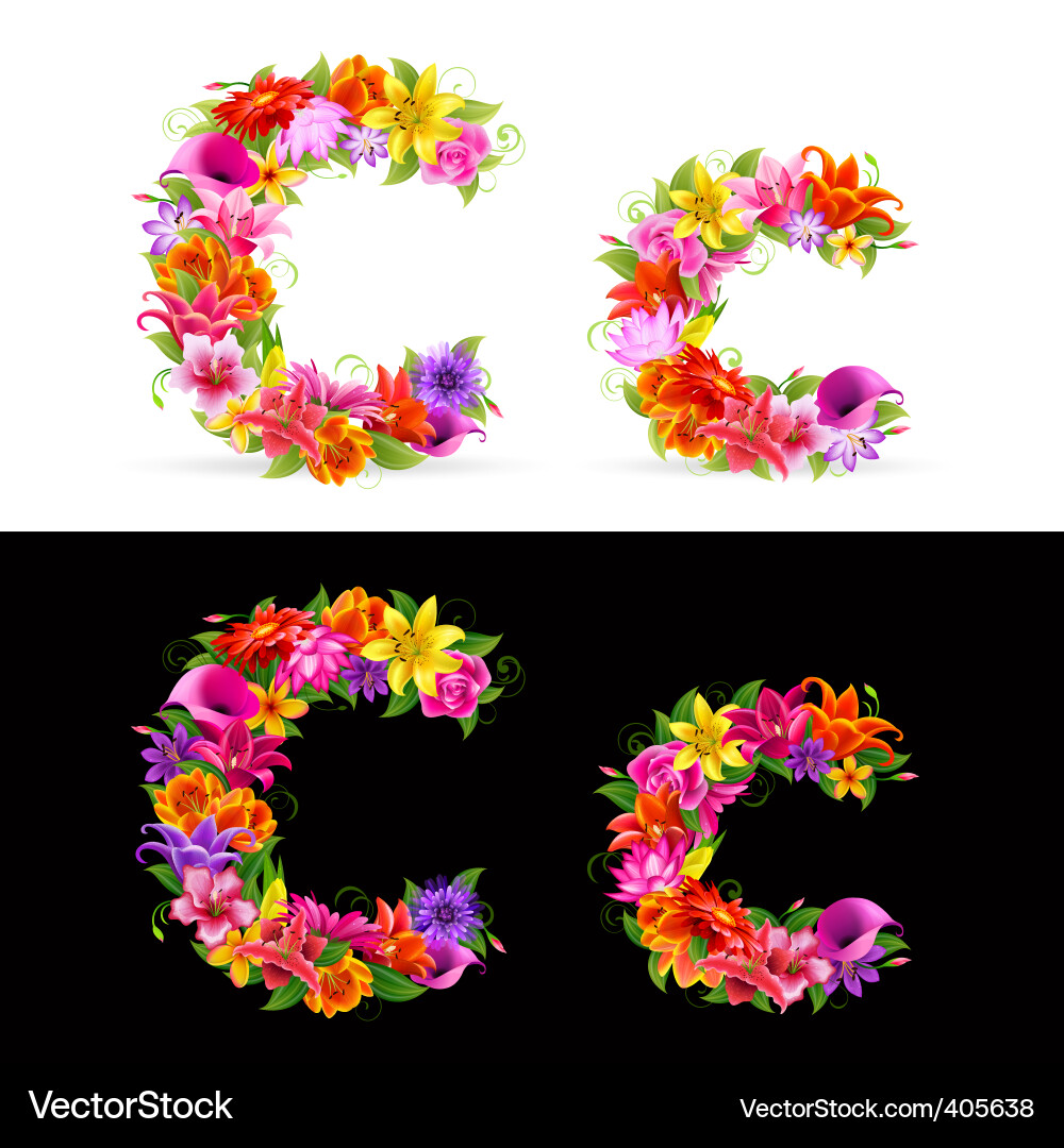Colorful Floral Alphabet Font Royalty Free Vector Image