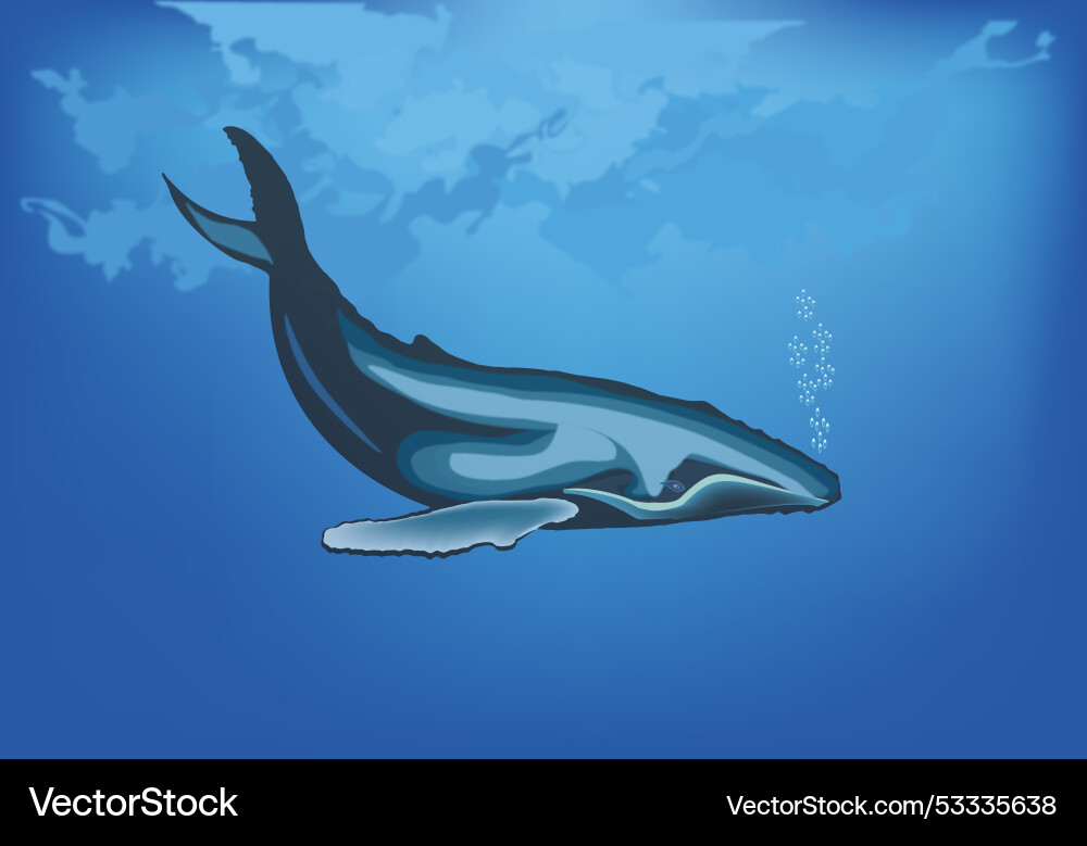 Large whale swimming peacefully underwater Vector Image