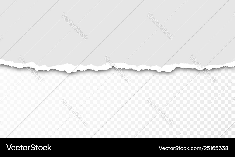 Ripped Paper Edge Template Royalty Free Vector Image