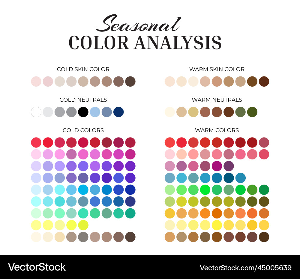 Seasonal color analysis palette with cold Vector Image