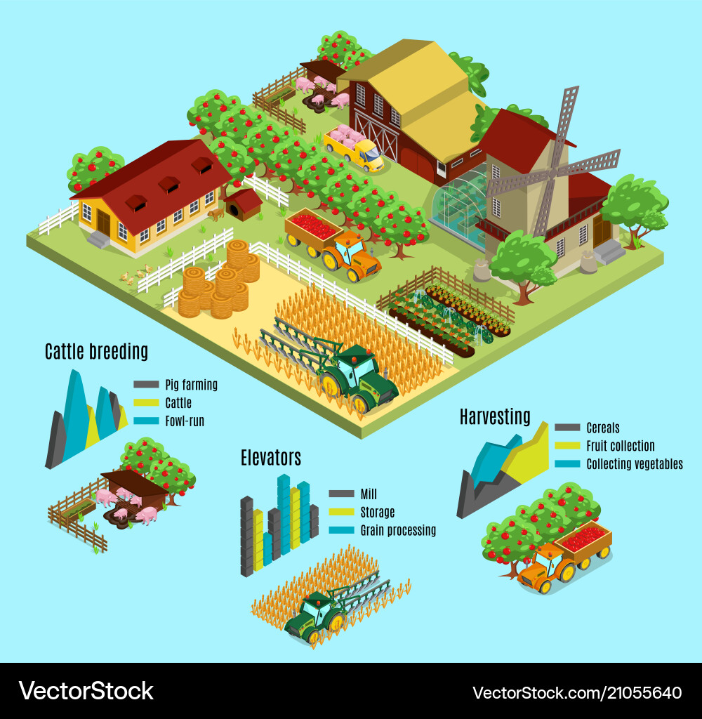 Isometric farm infographic concept Royalty Free Vector Image