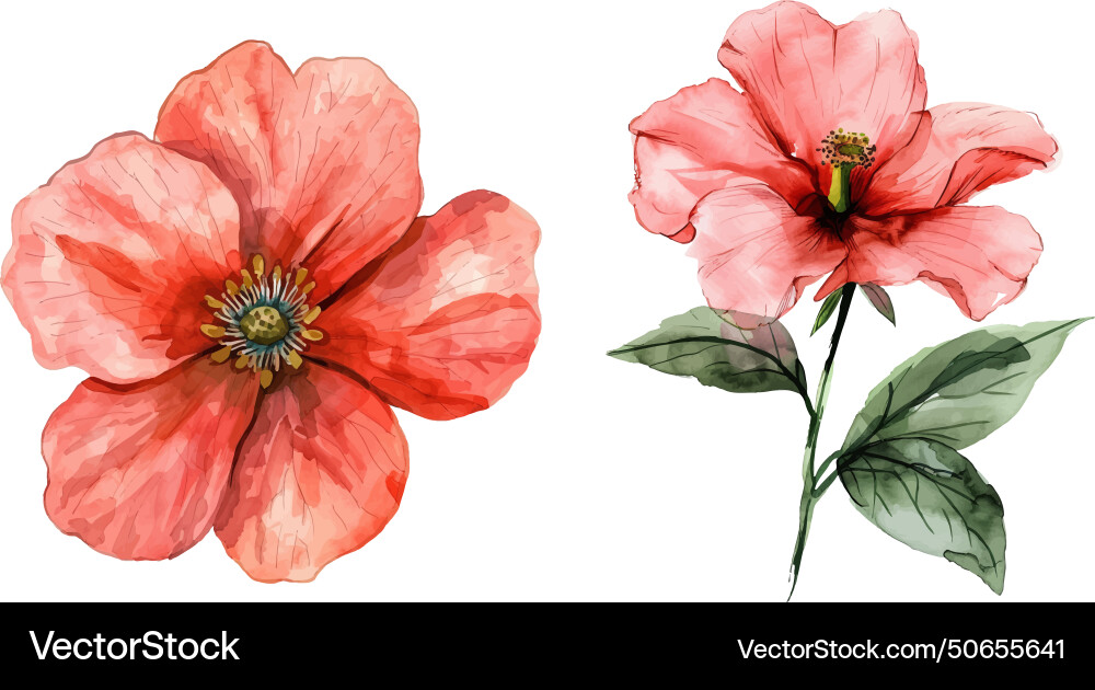 Hand drawn flower design elements Royalty Free Vector Image