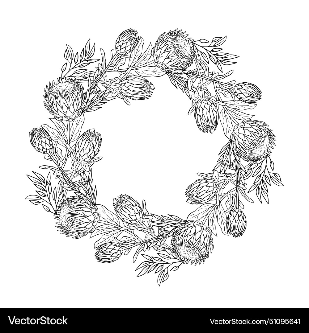 Hand drawn monochrome line art tropical protea Vector Image