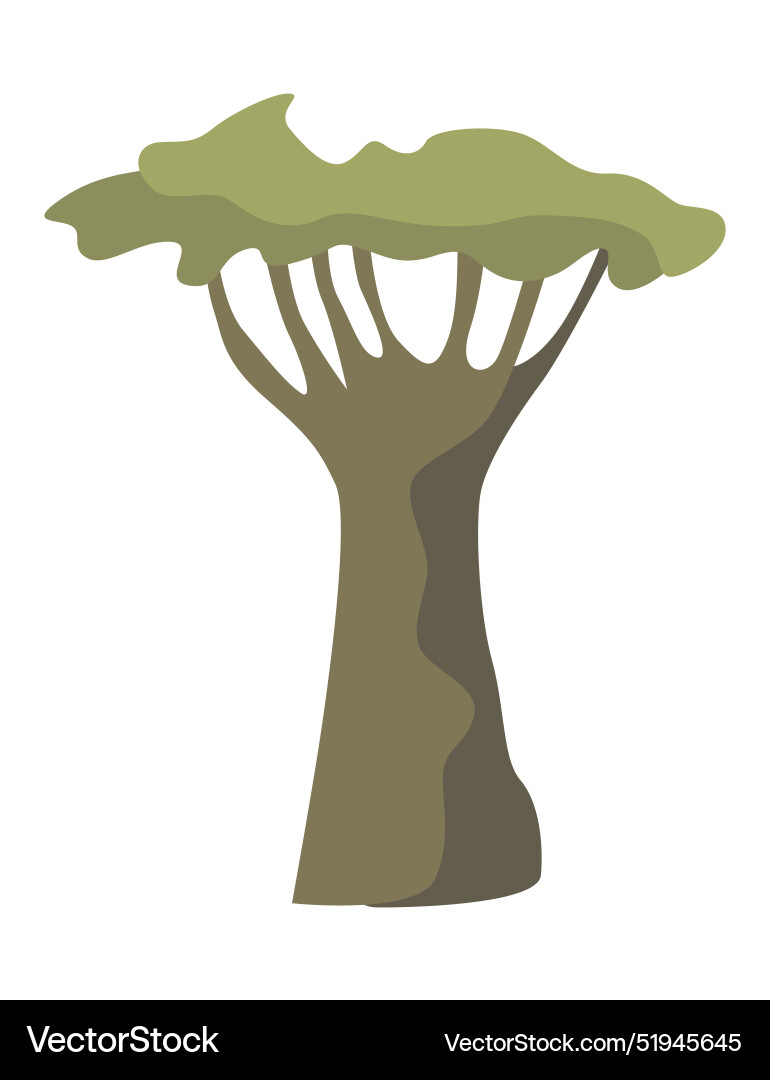 African baobab tree icon color emblem isolated Vector Image