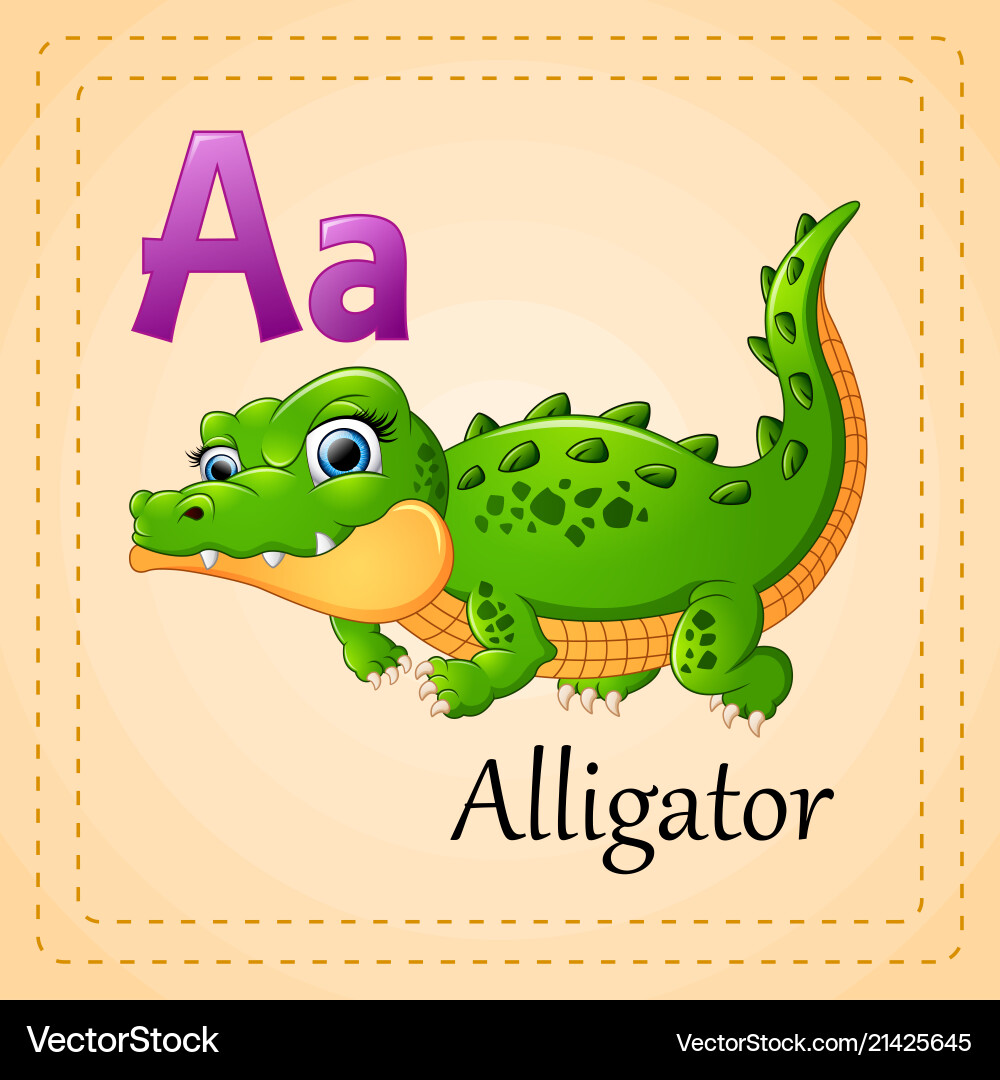 Alligator Animal Alphabet Royalty Free Vector Image