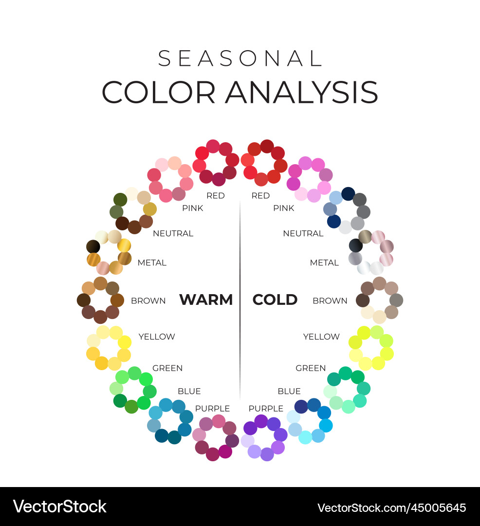 Seasonal Color Analysis Wheel Royalty Free Vector Image