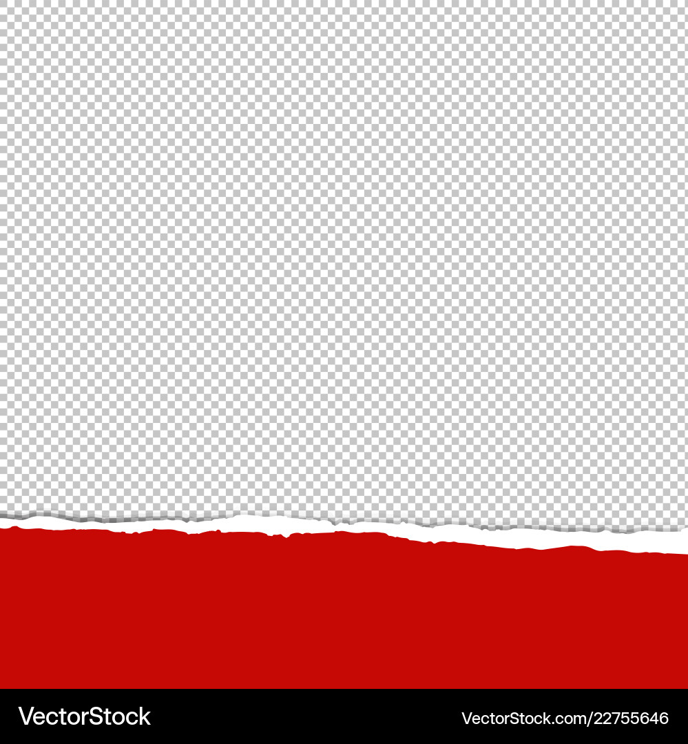 Red ripped paper transparent background Royalty Free Vector