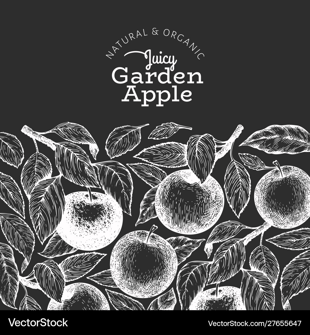 Apple branch design template hand drawn garden Vector Image