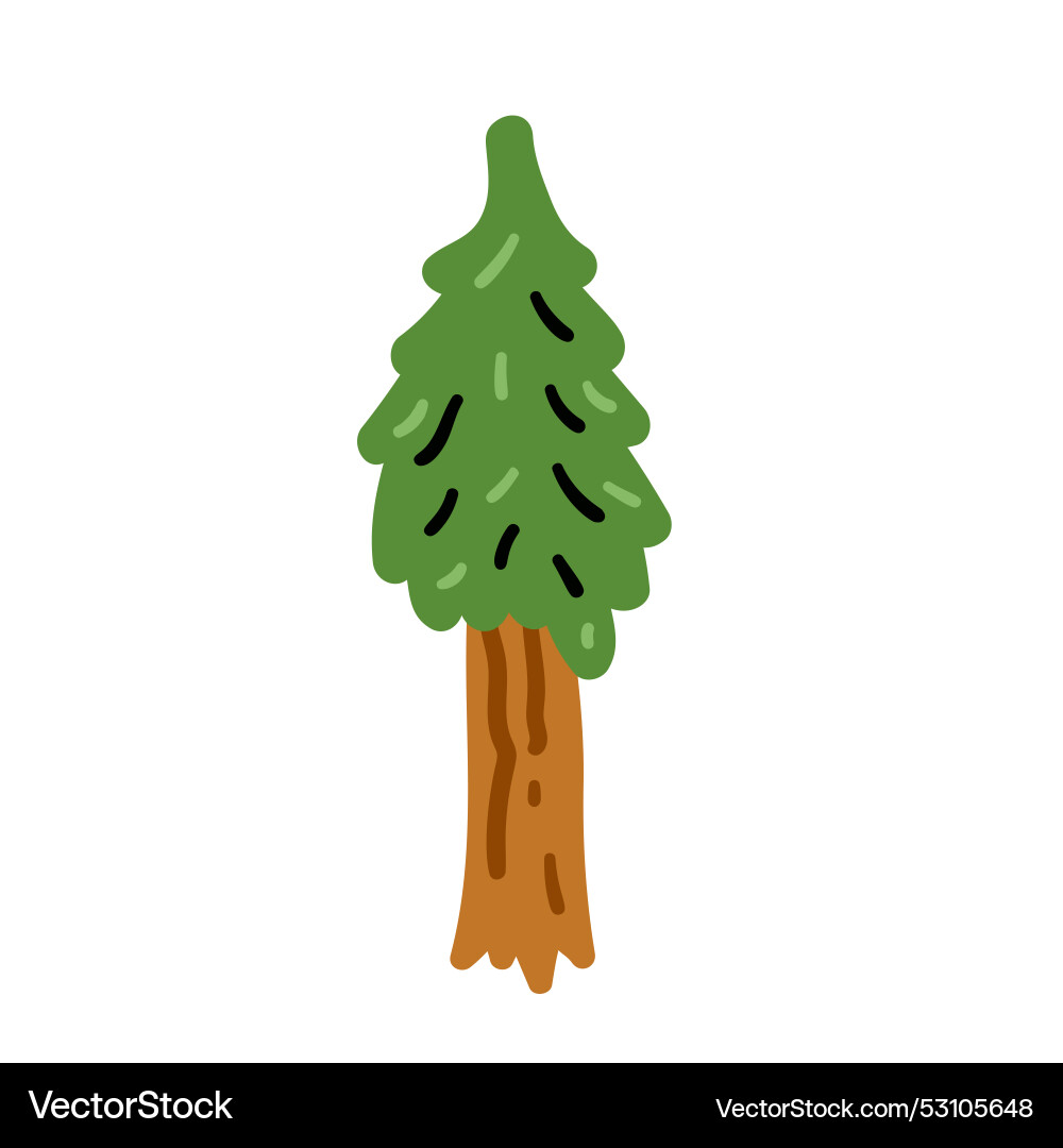 Cartoon sequoia tree Royalty Free Vector Image