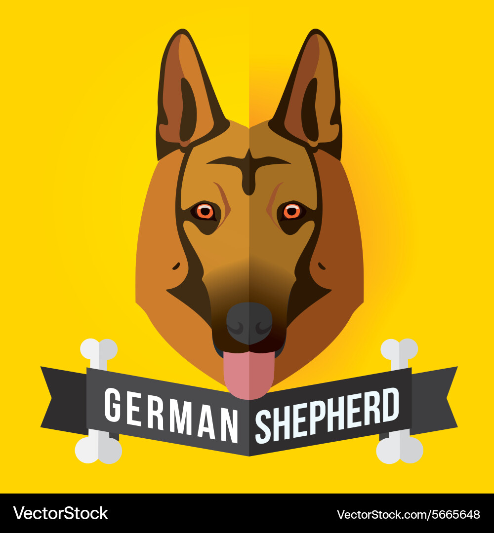 German shepherd Royalty Free Vector Image - VectorStock