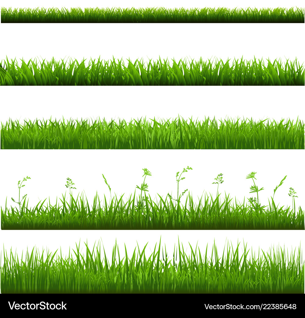 Grass borders big set Royalty Free Vector Image