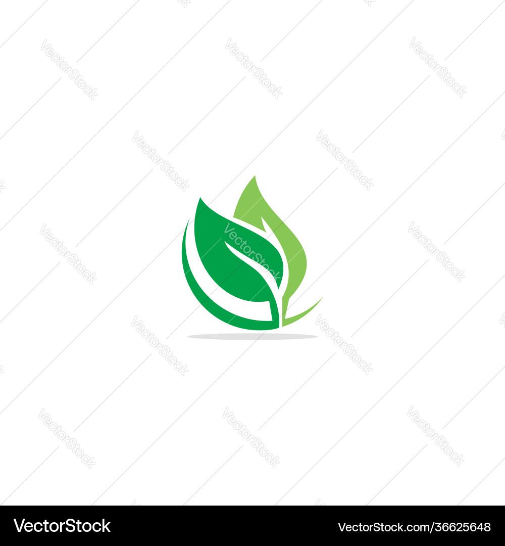 Green leaf eco logo Royalty Free Vector Image - VectorStock