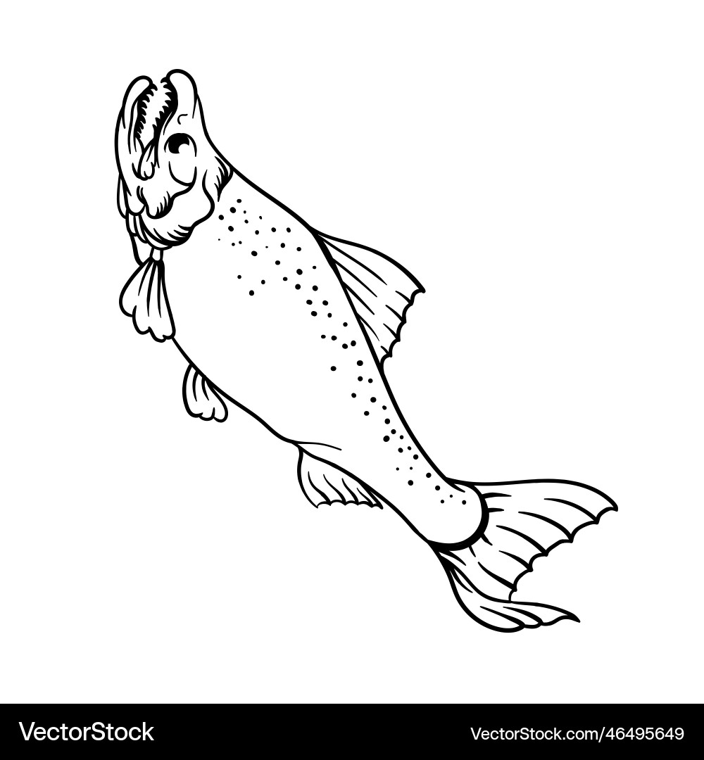 Fish Outline