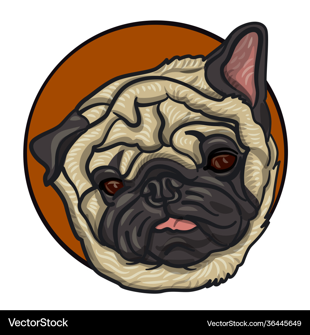 Pug dog portrait Royalty Free Vector Image - VectorStock