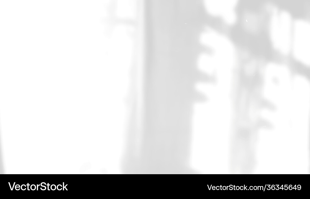 Summer background shadows from Royalty Free Vector Image