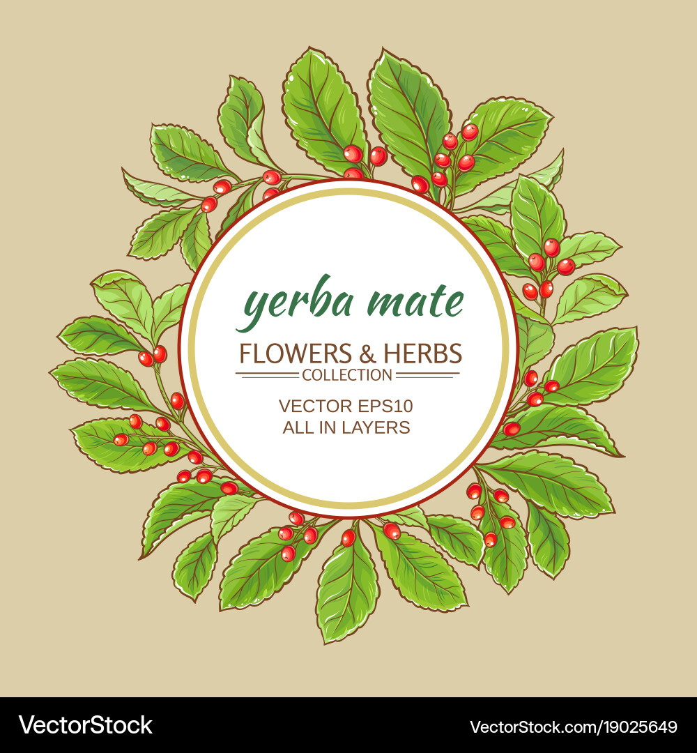 Yerba mate frame Royalty Free Vector Image - VectorStock