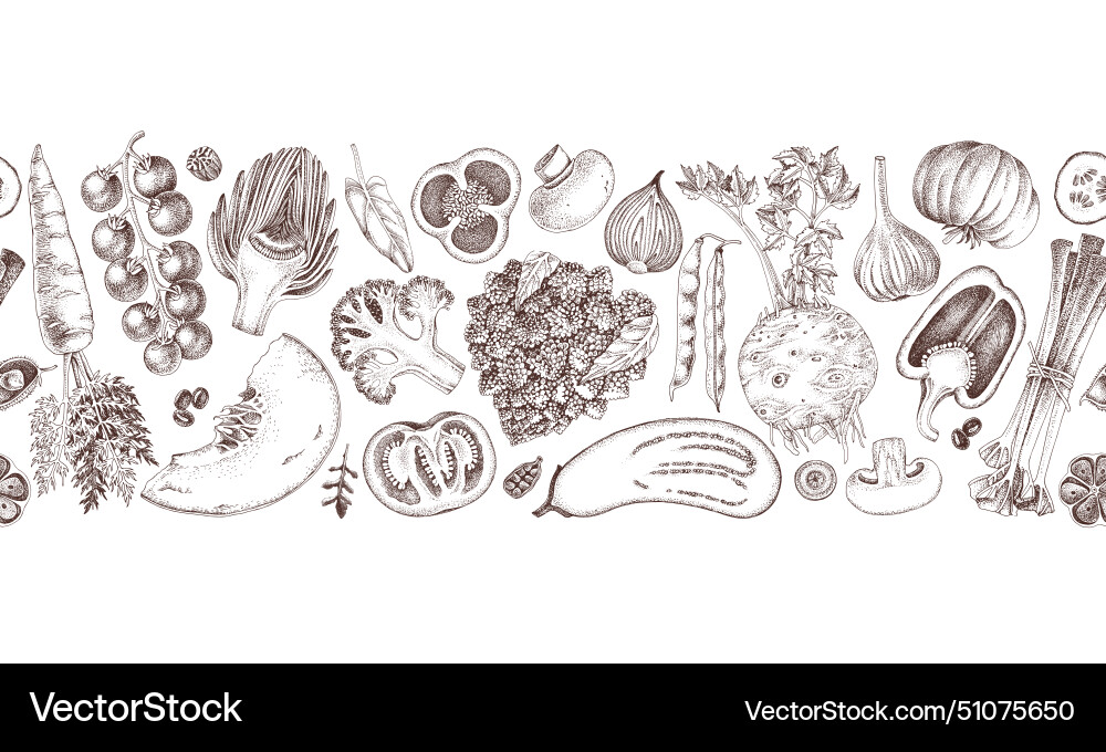 Fresh vegetables hand drawn collection Royalty Free Vector