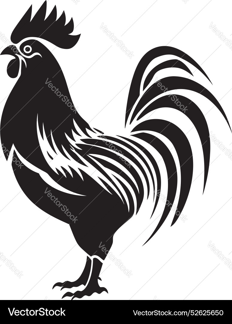 Poultry pride roster chicken iconic graphics Vector Image