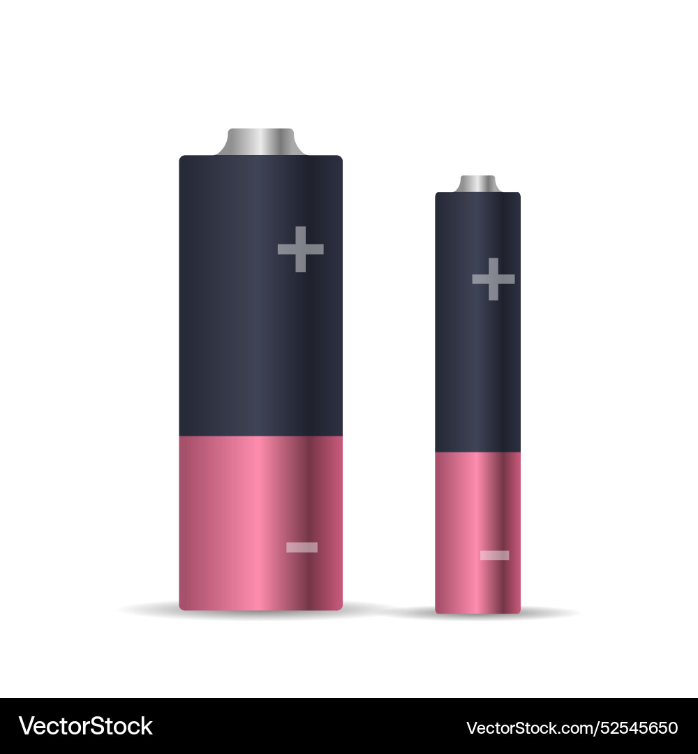 Two size batteries with positive and negative Vector Image