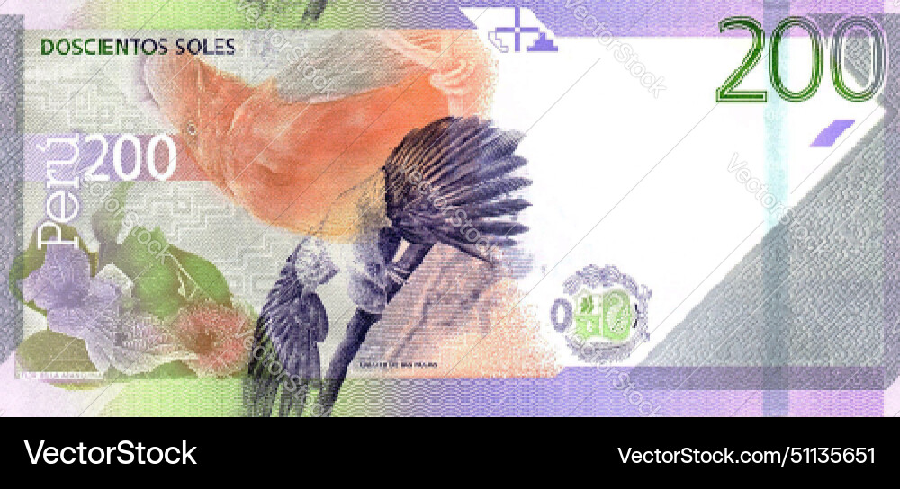 Reverse high polygonal pixel mosaic banknote 200 Vector Image