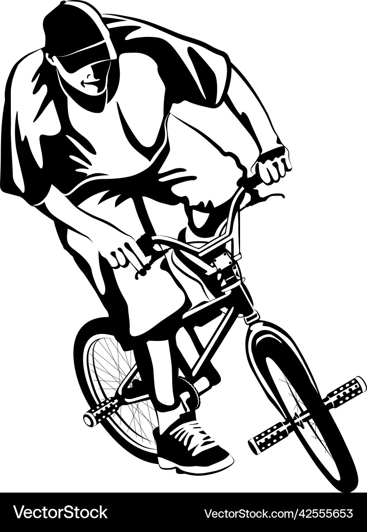 Bmx cyclist Royalty Free Vector Image - VectorStock