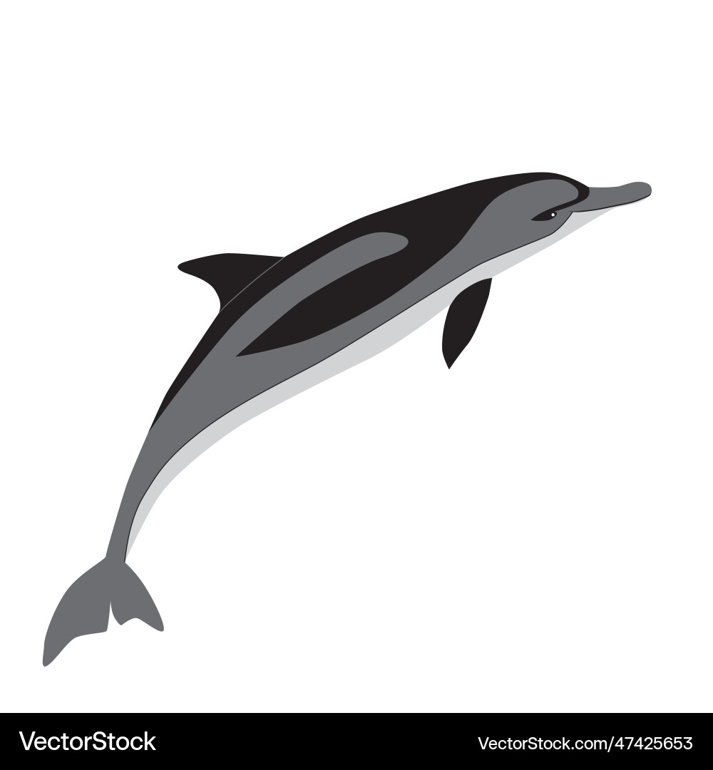 Dolphin - stylized sign for logo or pictogram Vector Image