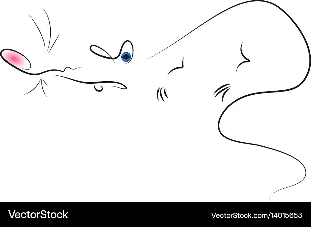 Funny-rat Royalty Free Vector Image - VectorStock