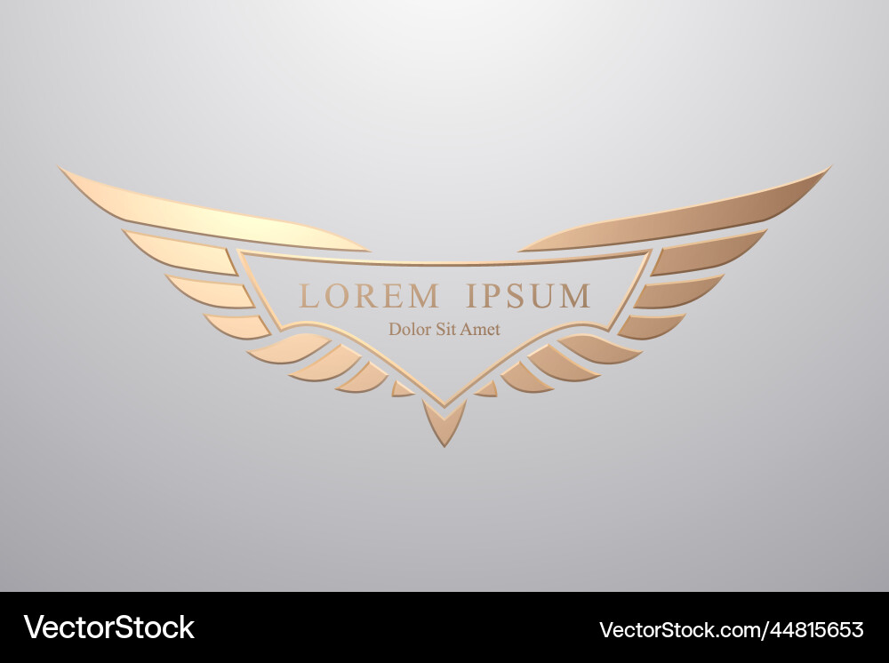 Golden wings frame template on white background Vector Image