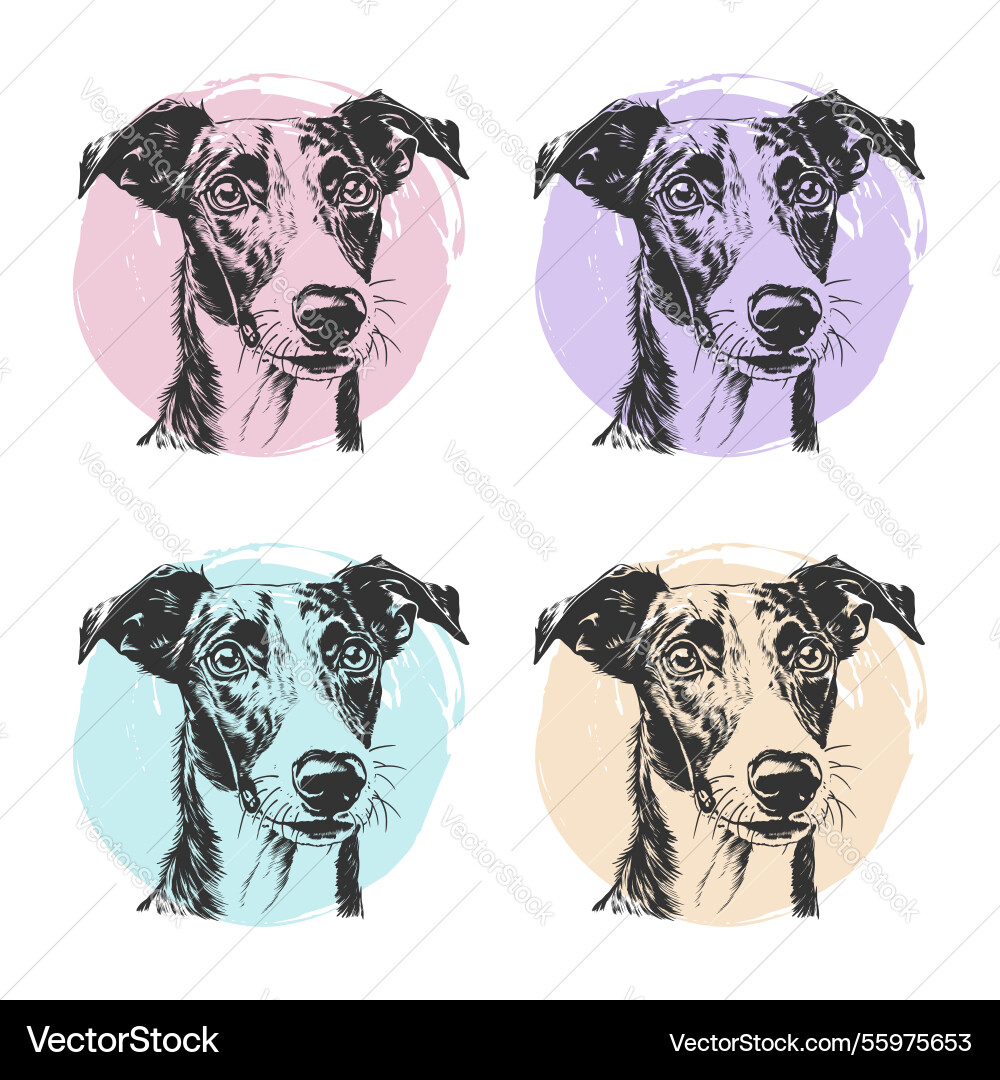 Greyhound clip art design Royalty Free Vector Image