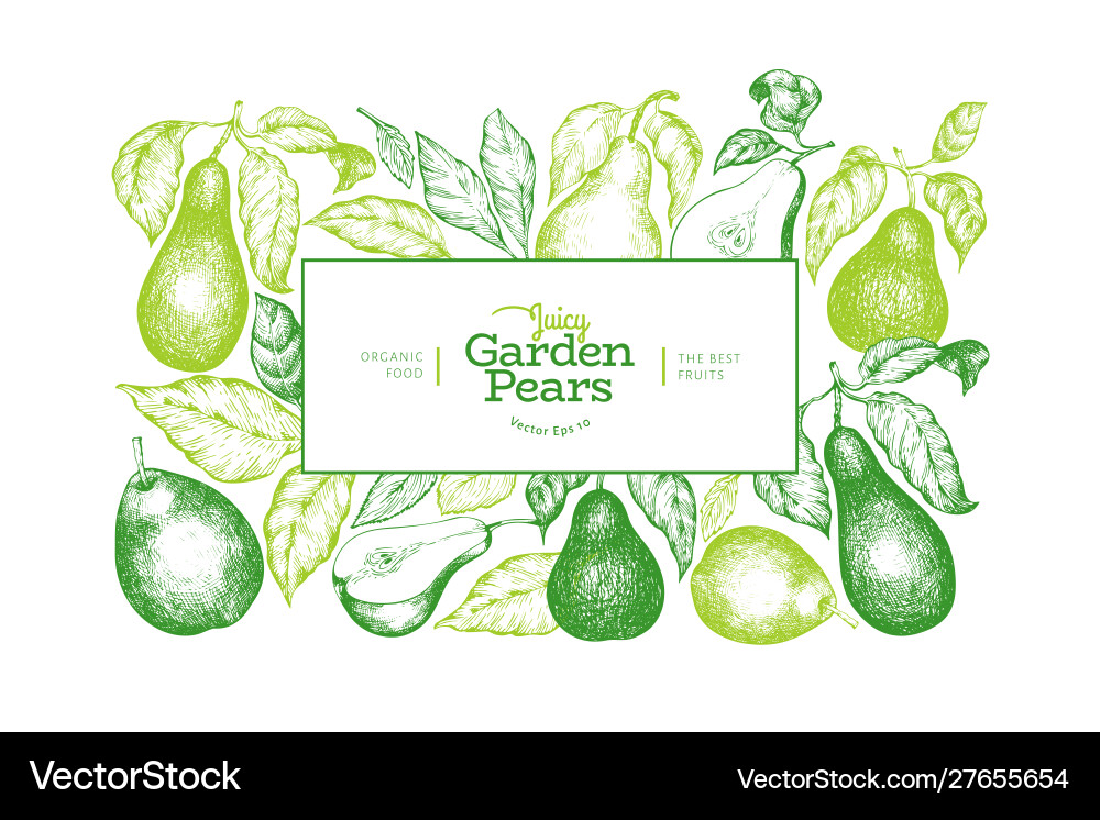 Pear design template hand drawn garden fruit Vector Image