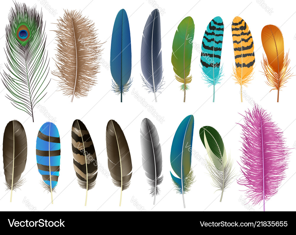 Feather icon set realistic style Royalty Free Vector Image