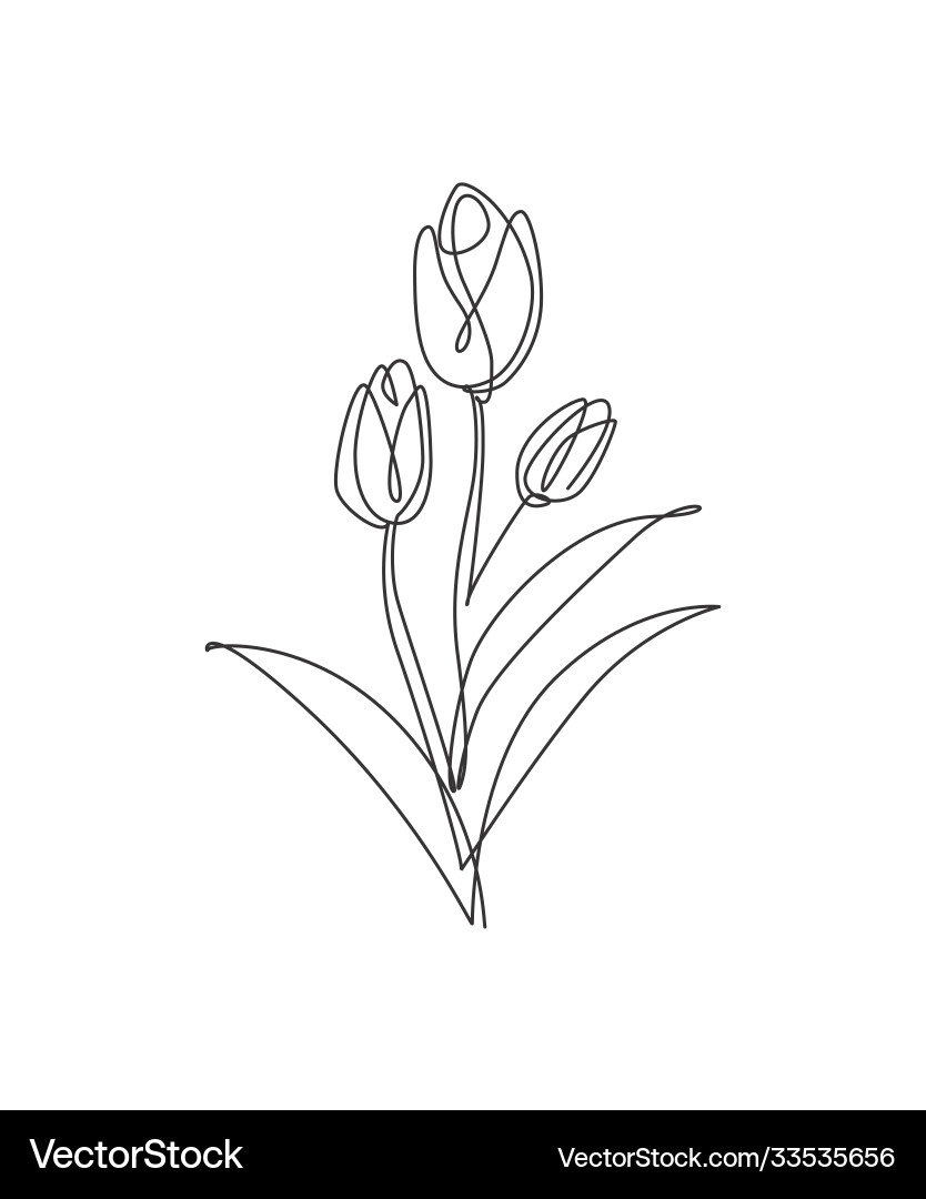 One Single Line Drawing Beauty Tulip Flower Vector Image