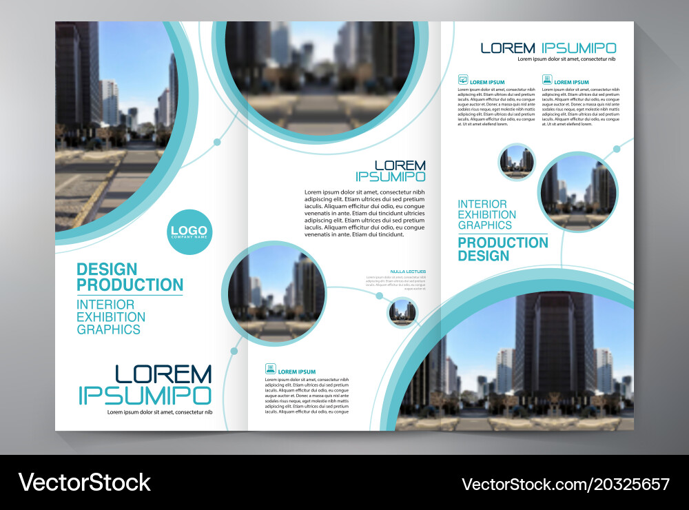 Brochure 3 fold flyer design a4 template Vector Image