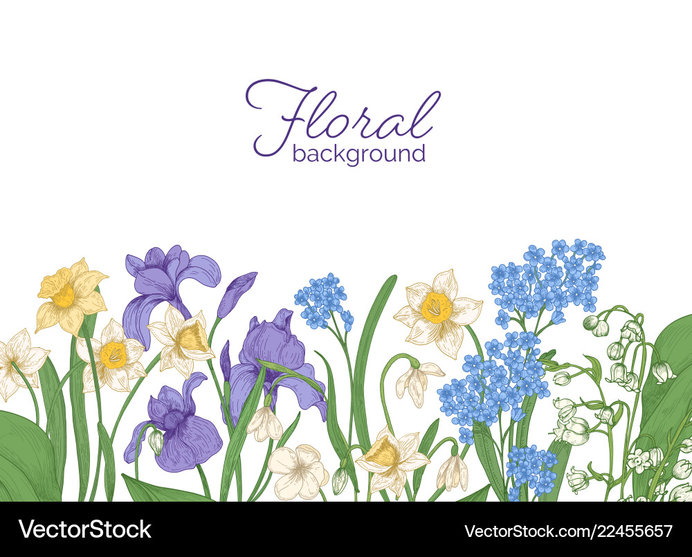 Spring Floral Backdrop Royalty Free Vector Image