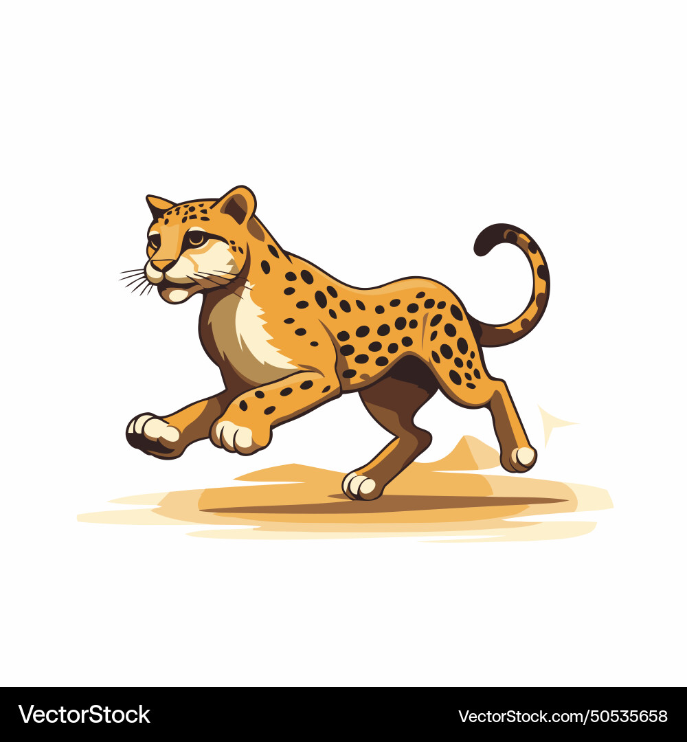 Cheetah running Royalty Free Vector Image - VectorStock