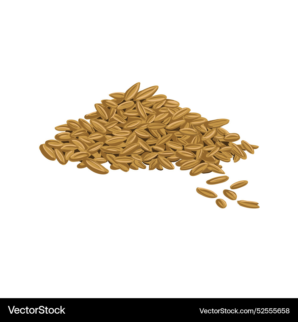 Drawing wheat seeds (52555658) – Royalty-Free Vector | VectorStock