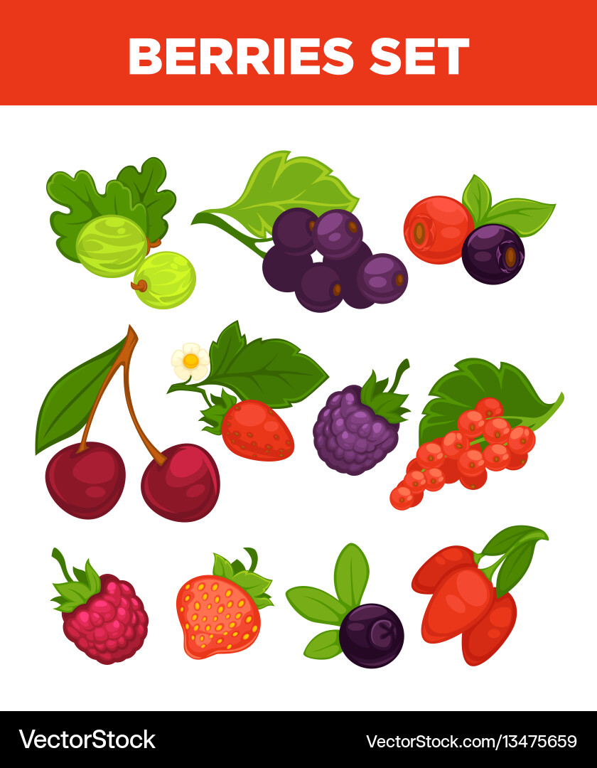 Berry Icon Set - Fruits & Berries Royalty Free Vector