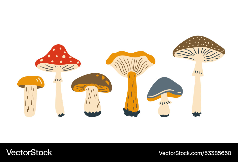 Autumn forest mushroom set Royalty Free Vector Image