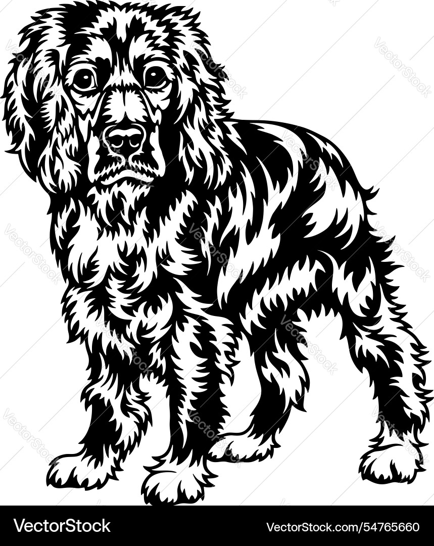 Cocker spaniel dog breed - pet cut file Royalty Free Vector