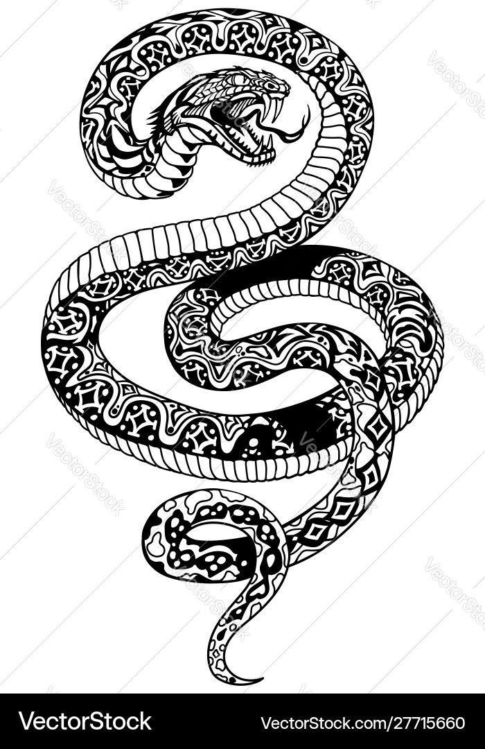 Angry Snakes Vector Images (over 1,500)