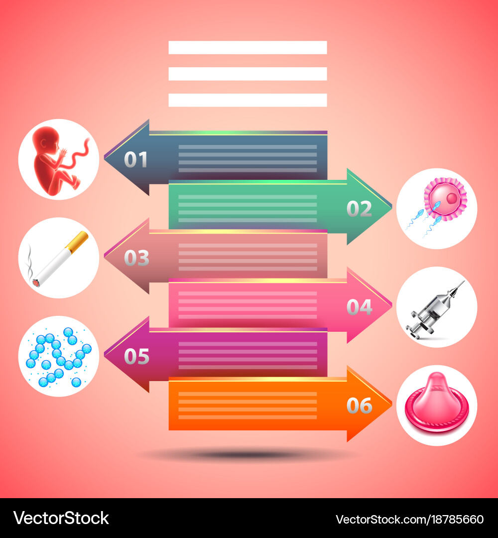 Pregnancy infographics with fetus and objects Vector Image