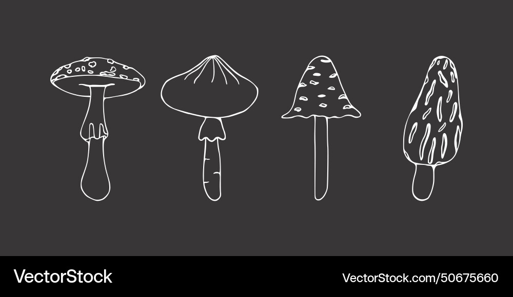 Set of poisonous mushrooms Royalty Free Vector Image Set of poisonous mushrooms Royalty Free Vector Image