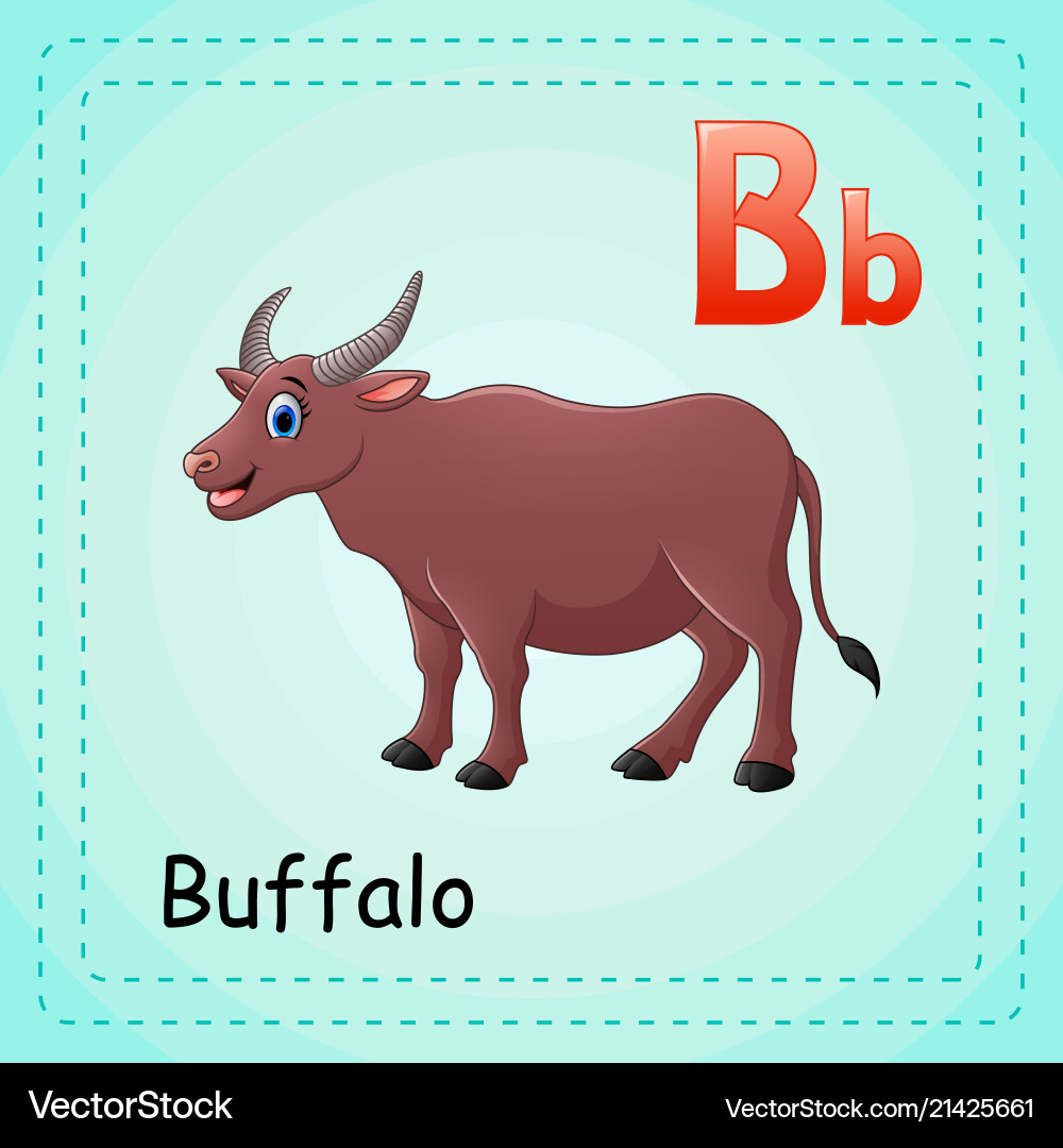 Animals alphabet b is for buffalo Royalty Free Vector Image