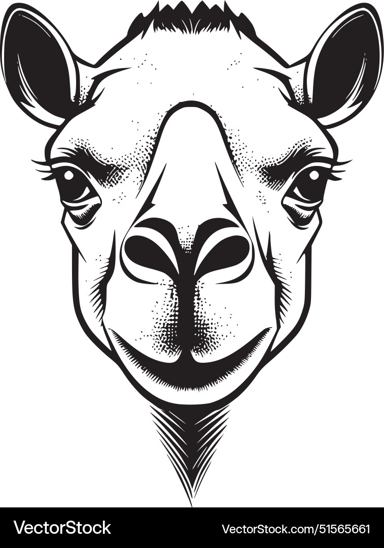 Camel - black and white Royalty Free Vector Image