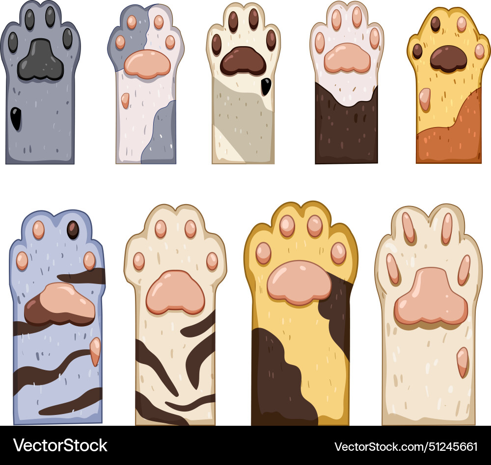 Cat paw set cartoon Royalty Free Vector Image - VectorStock