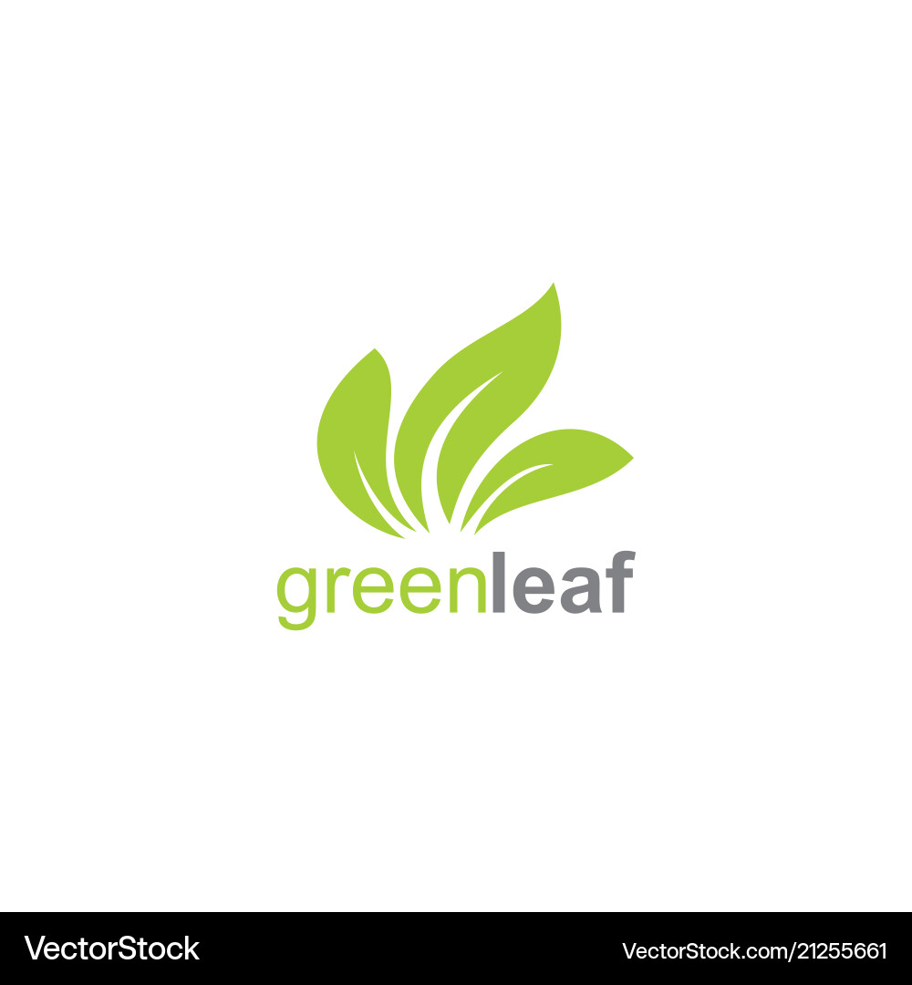 Organic Green Leaf Logo Royalty Free Vector Image