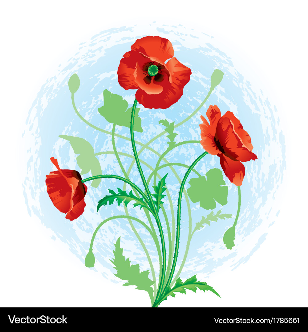 Red poppy Royalty Free Vector Image - VectorStock